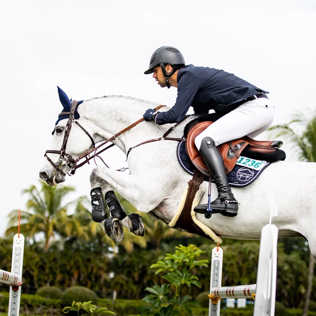 Gallery — Evergate Stables