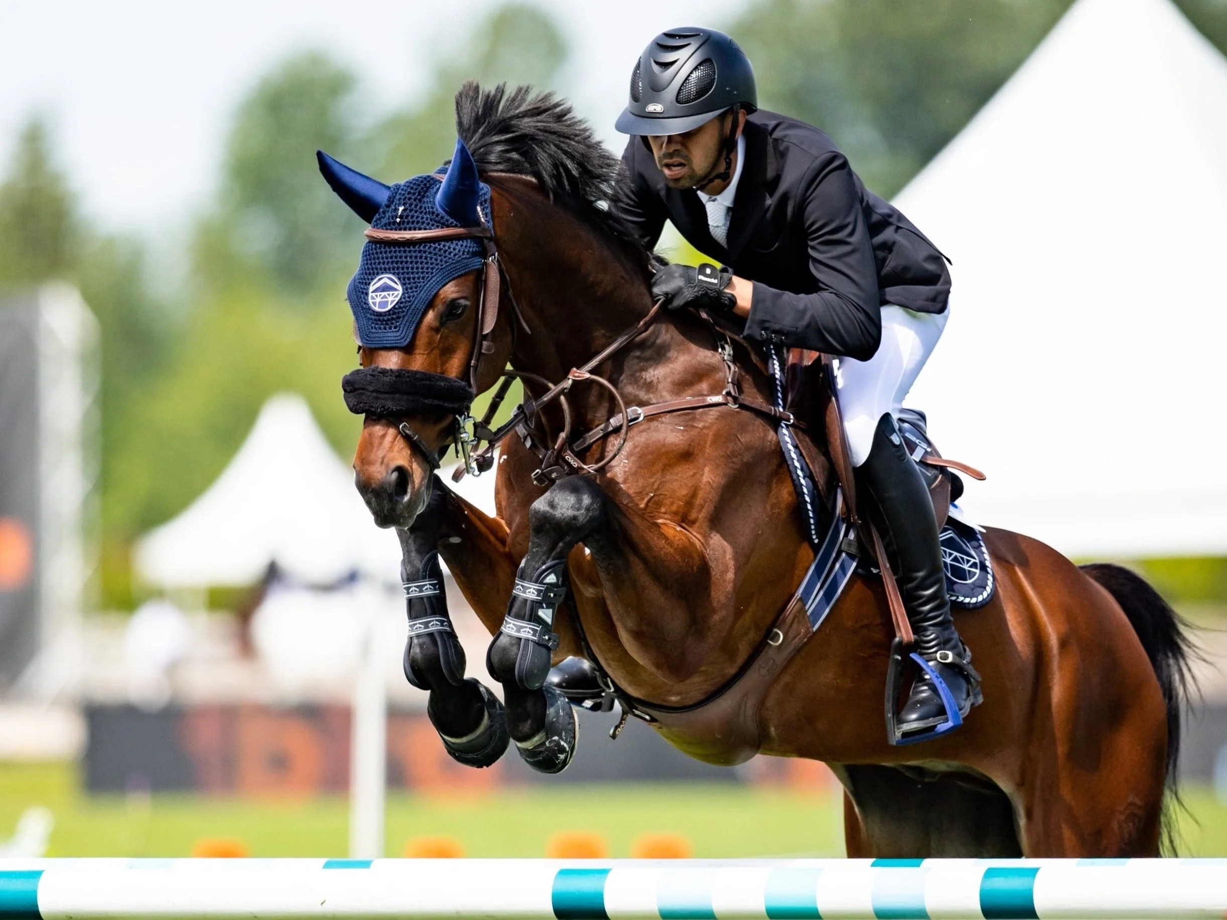 Our Team Index — Evergate Stables