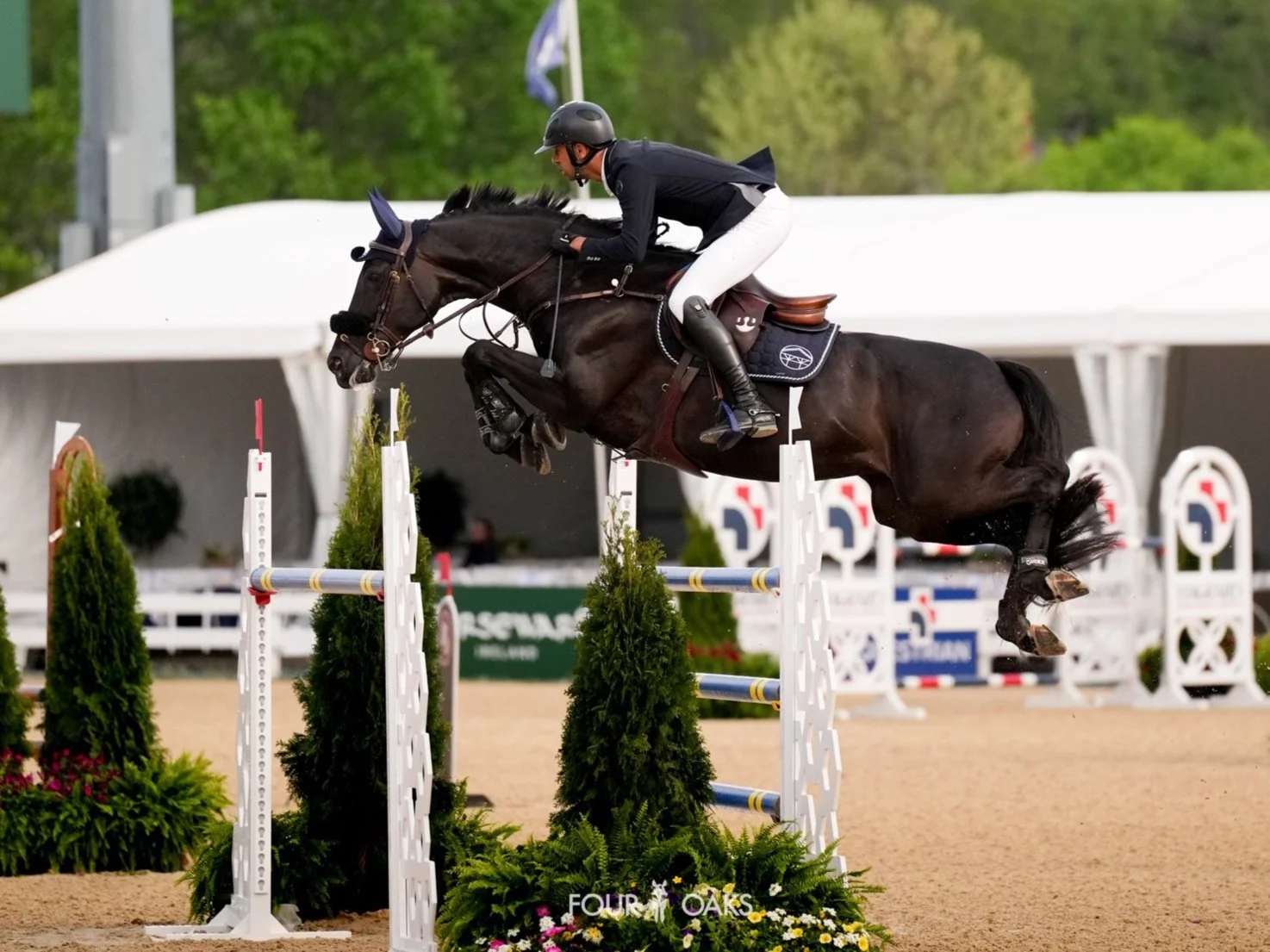 Our Team Index — Evergate Stables