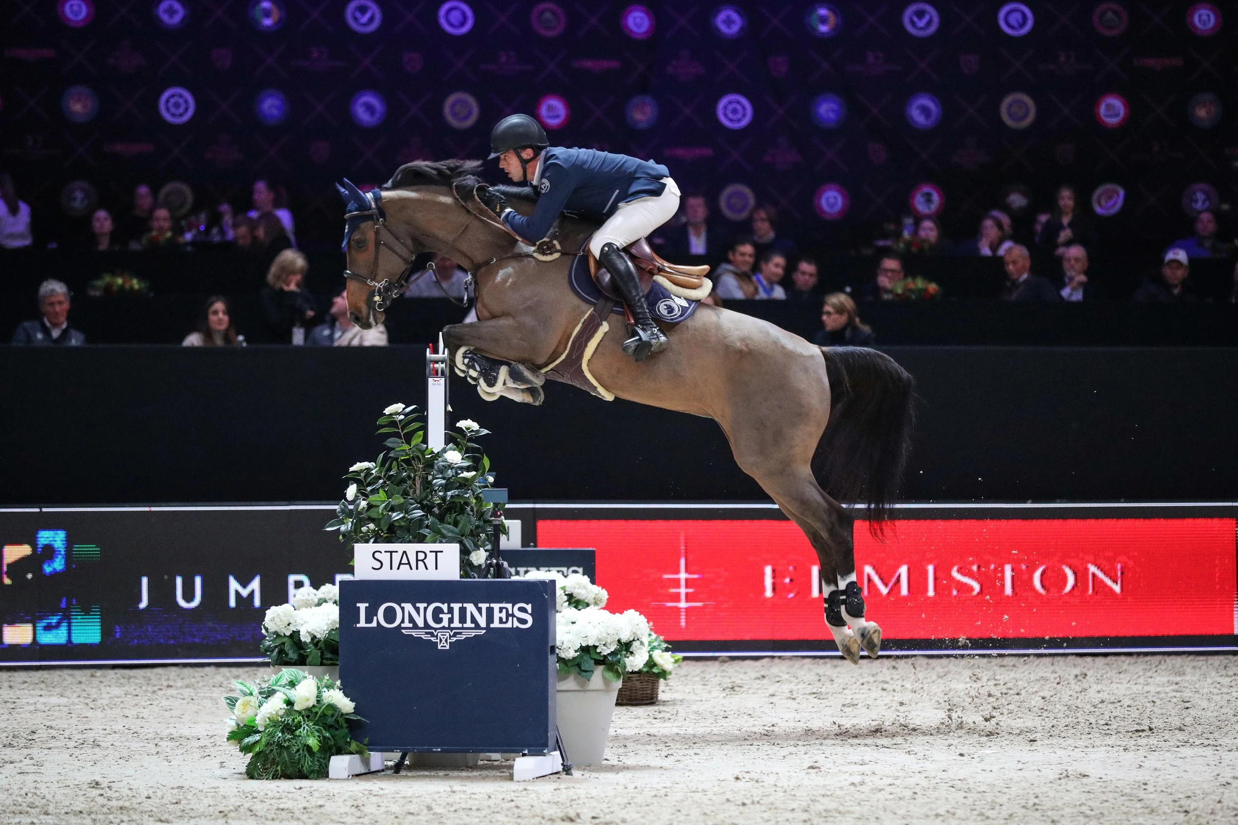 Gallery — Evergate Stables