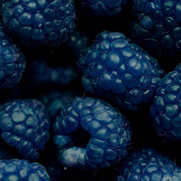 Individual Bags — Popped Envy