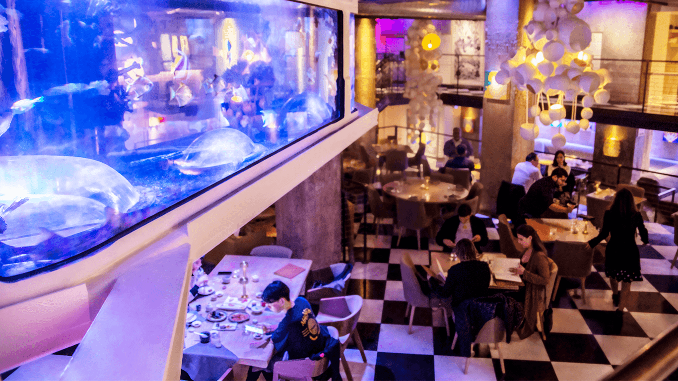 Gallery — Mrs Fish