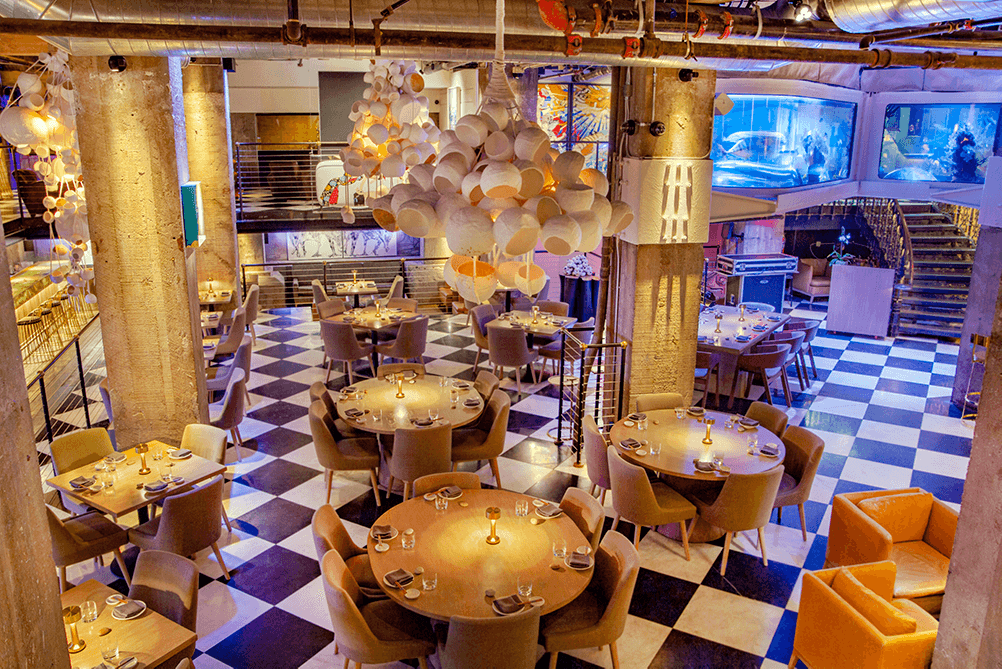 Gallery — Mrs Fish