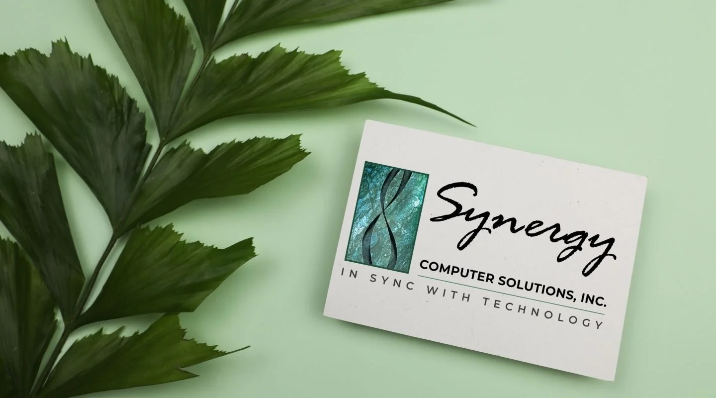 A Case for Synergy — Ashita Nichanametla