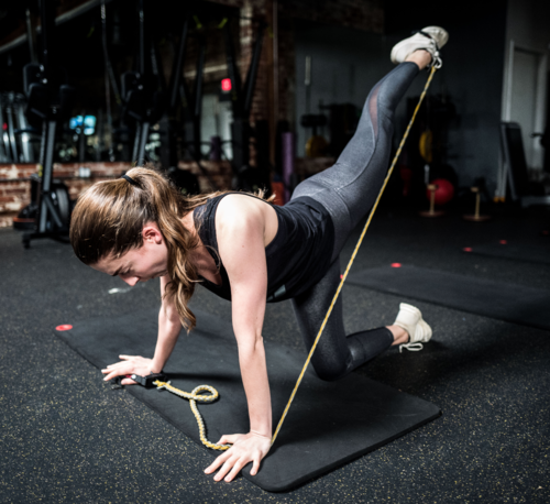 SHRED: Home & Gym Workouts