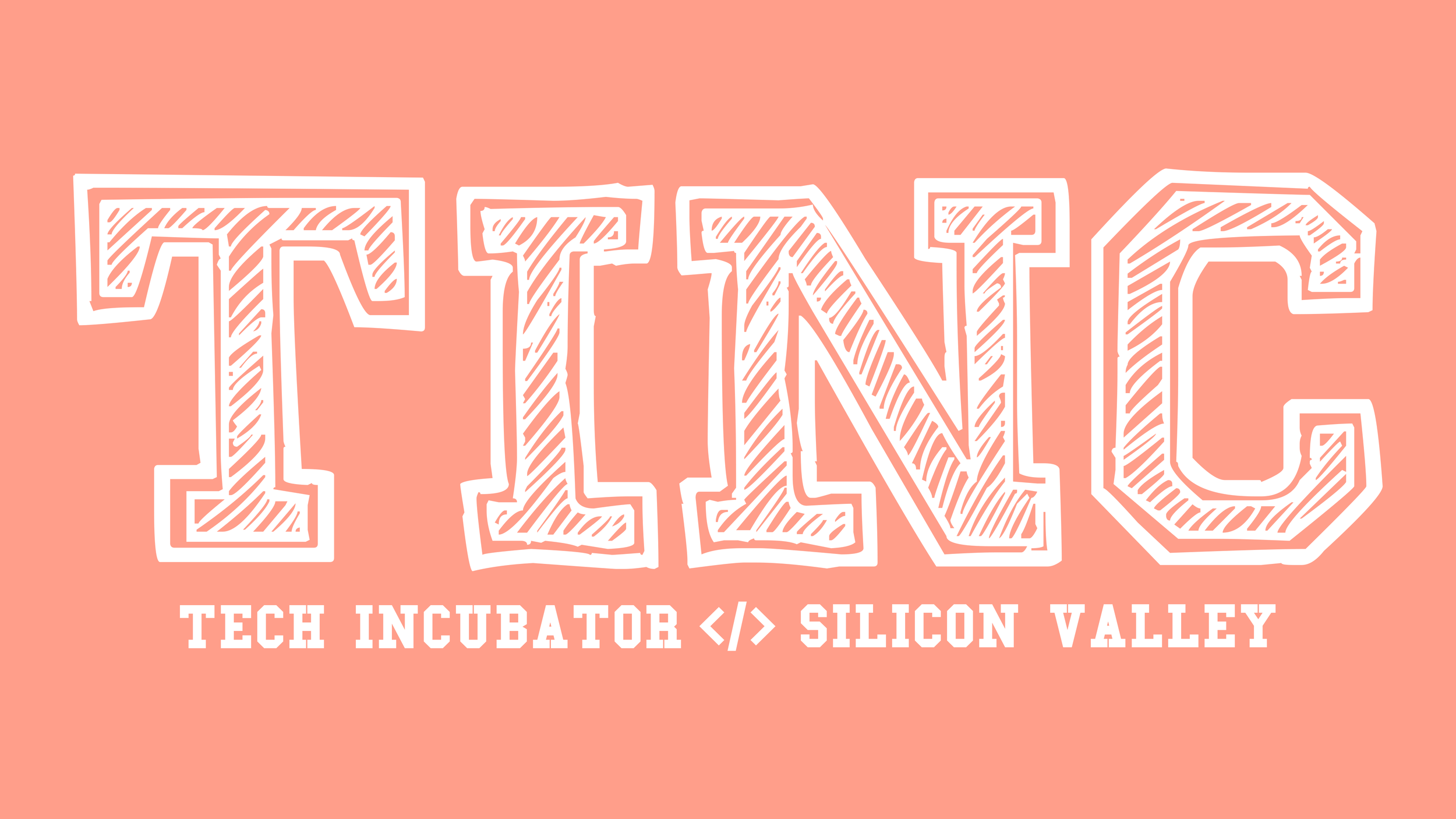 TINC - Accelerator Program — Nordic Innovation House