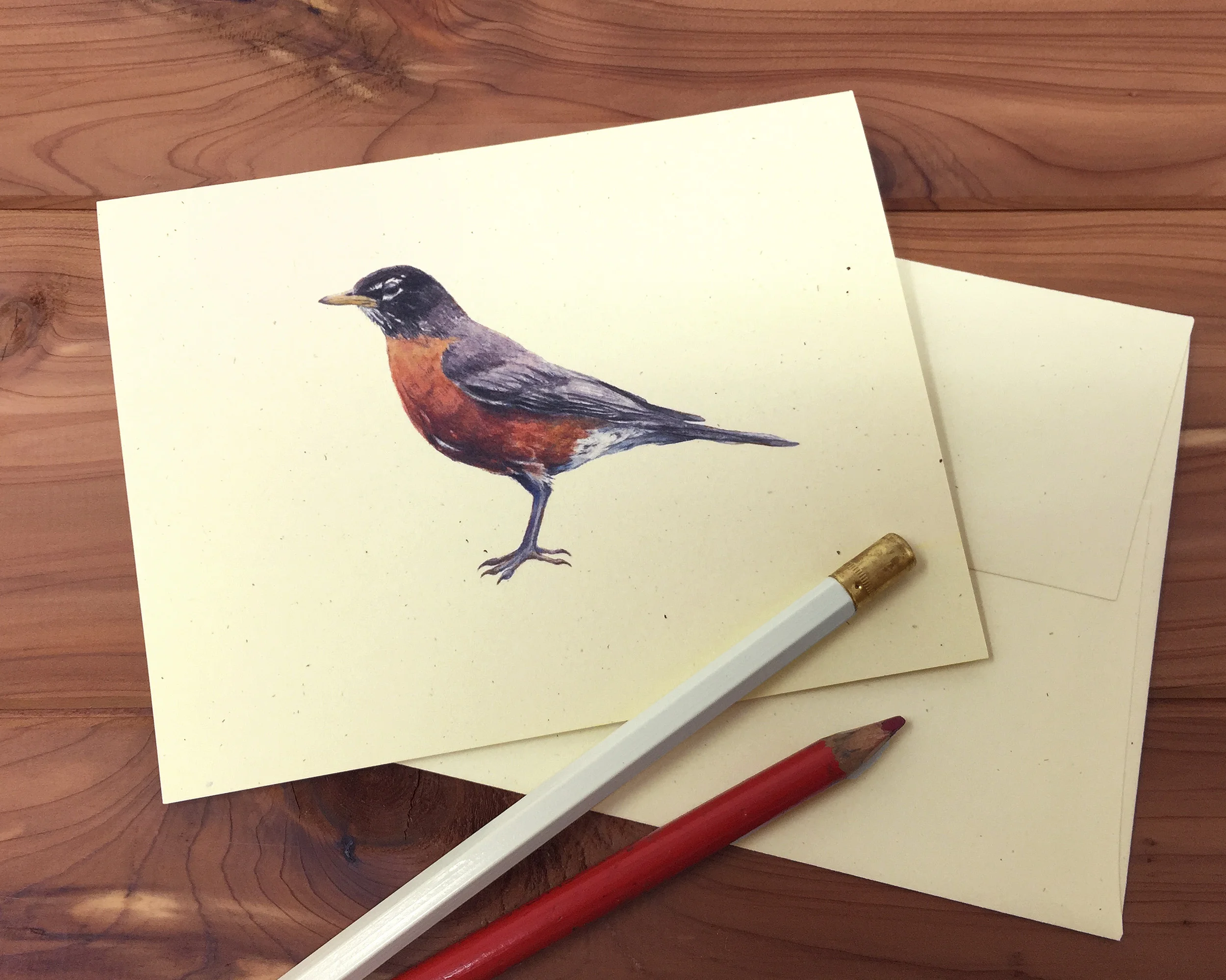 American Robin — Will Close Studios