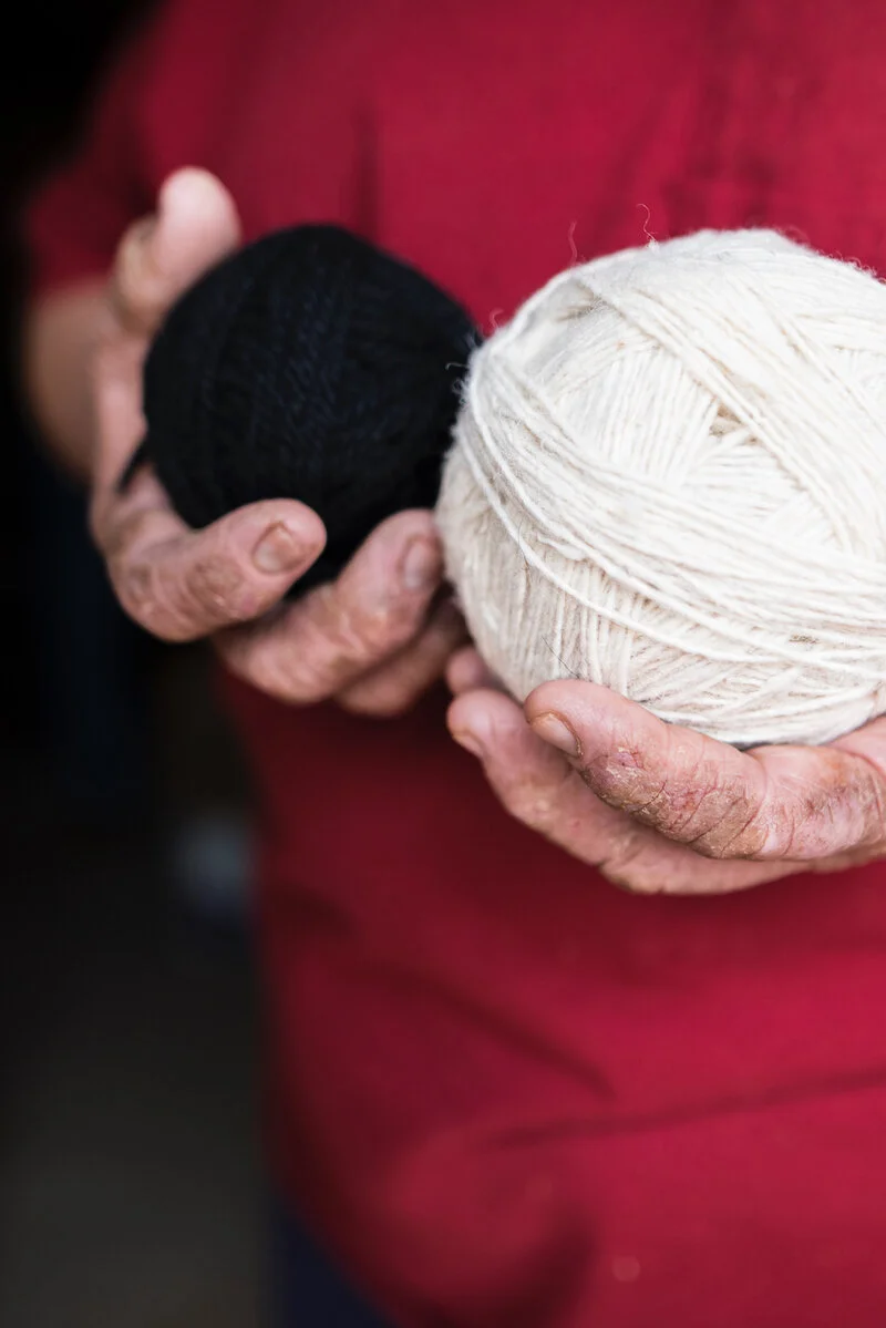 Navajo Water Project