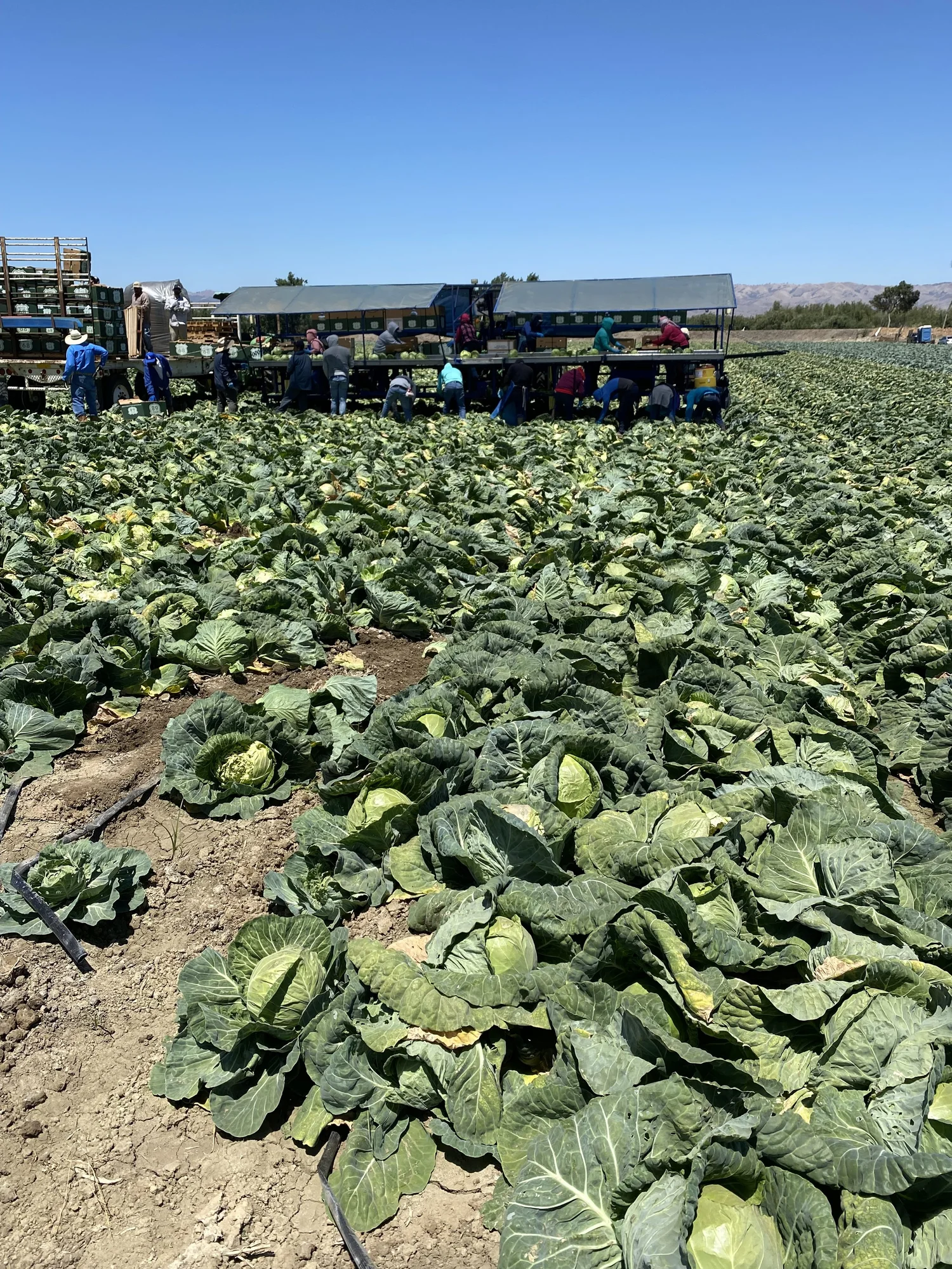 Who We Are — 68 Produce