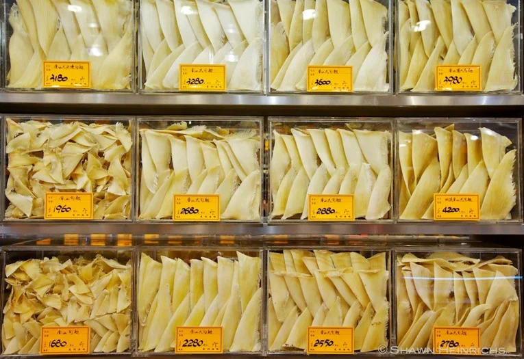 Materials — CITES Sharks and Rays