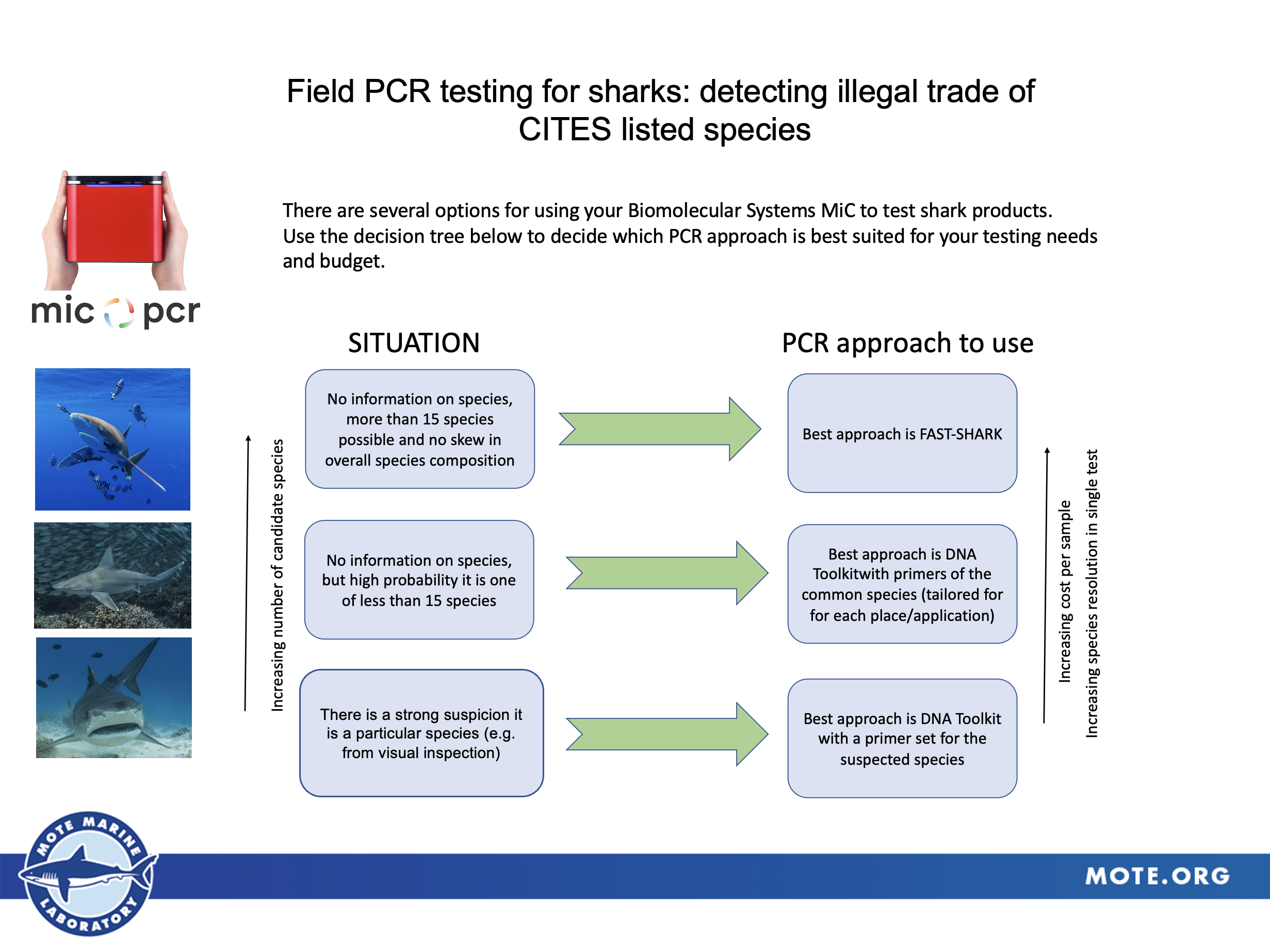 Implementation Materials — CITES Sharks and Rays