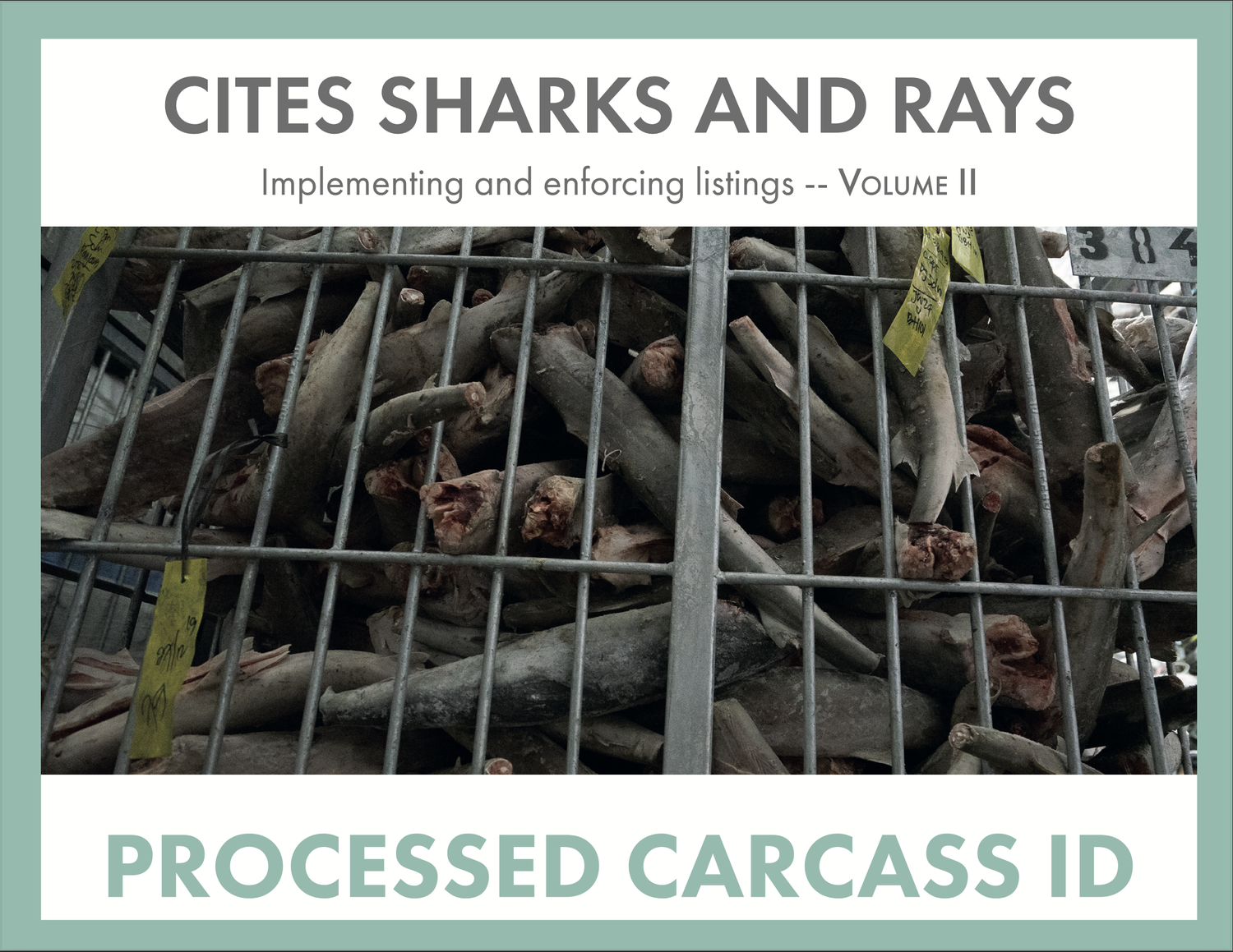 Implementation Materials — CITES Sharks and Rays