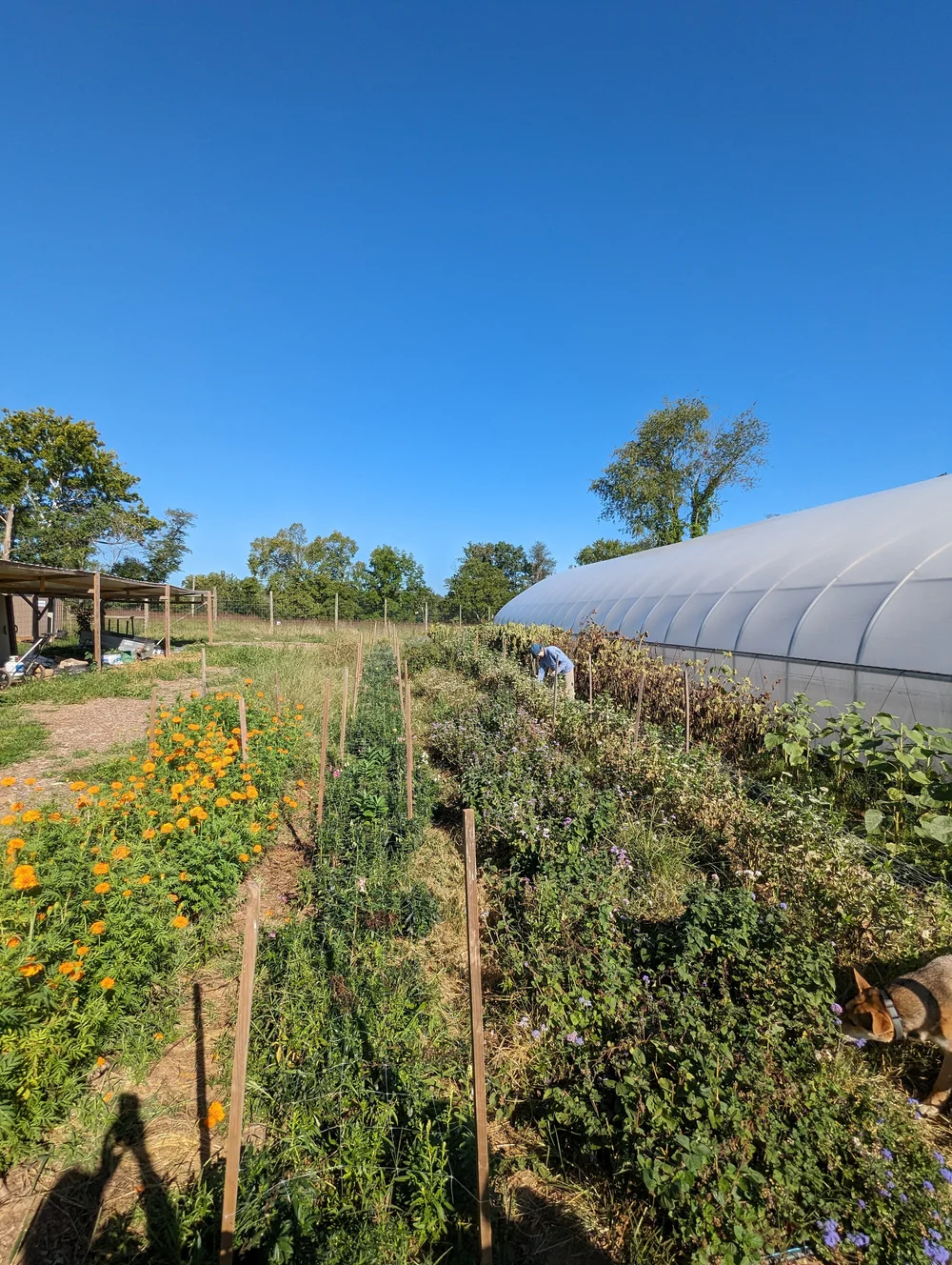 Farm Map — Gathering Springs Farm
