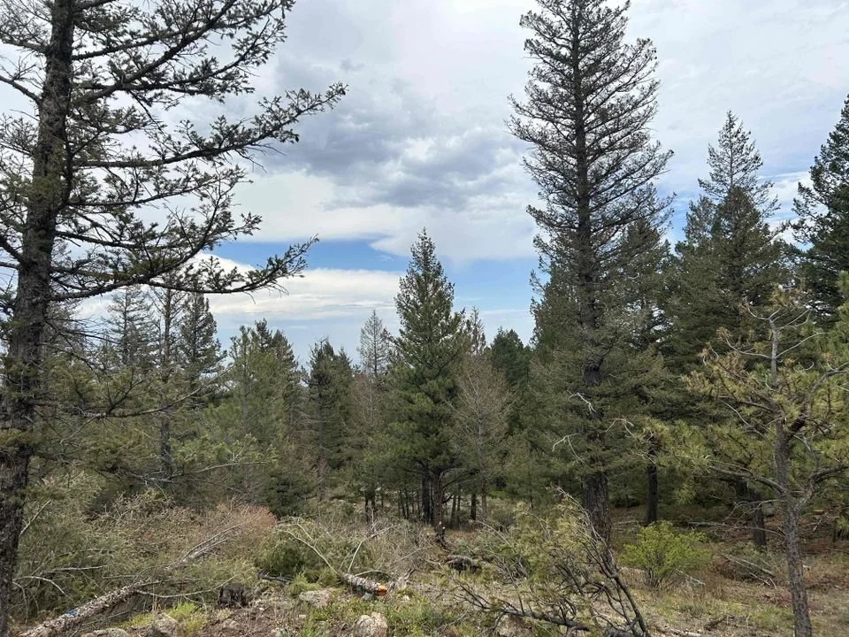 Boulder Mountain Fire Protection District