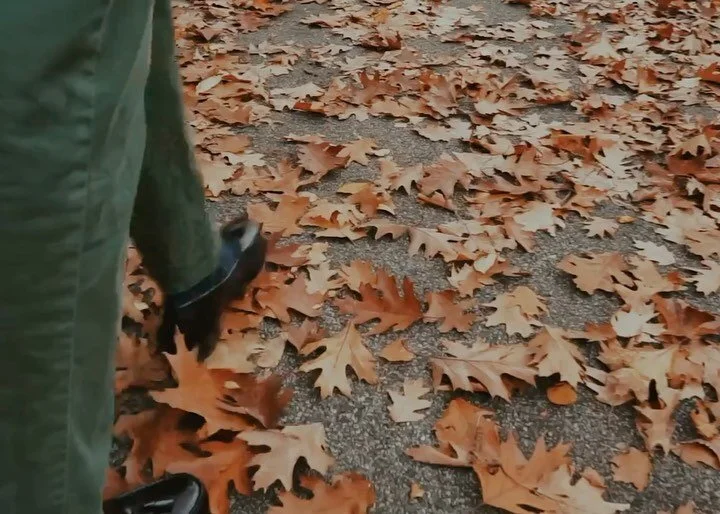 Dr. Joshua Bennett — Author. Professor. Artist.