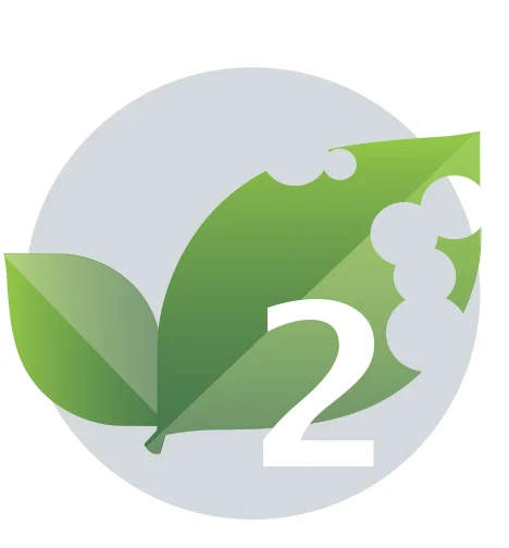 Liquid Fertilizer | Plant Health — Boston Tree Preservation