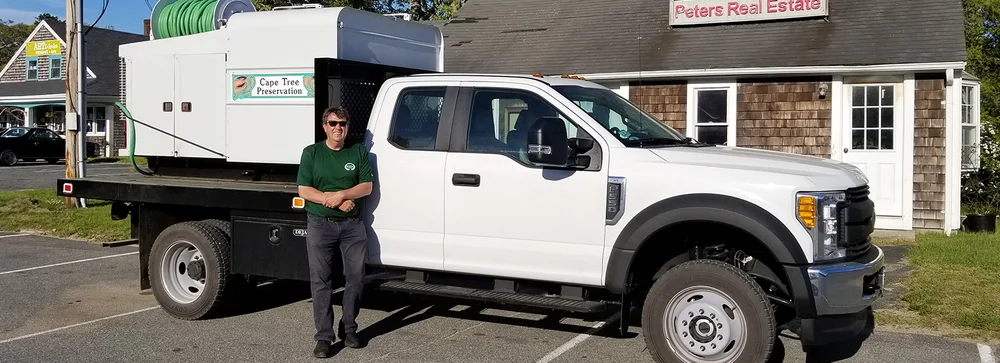 Save the Trees | Plant Health Care — Boston Tree Preservation