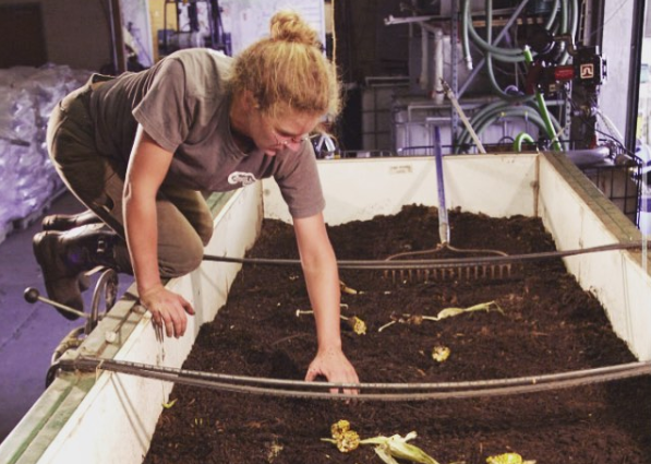 Urban Forests - Organic Solutions | Boston Tree Preservation