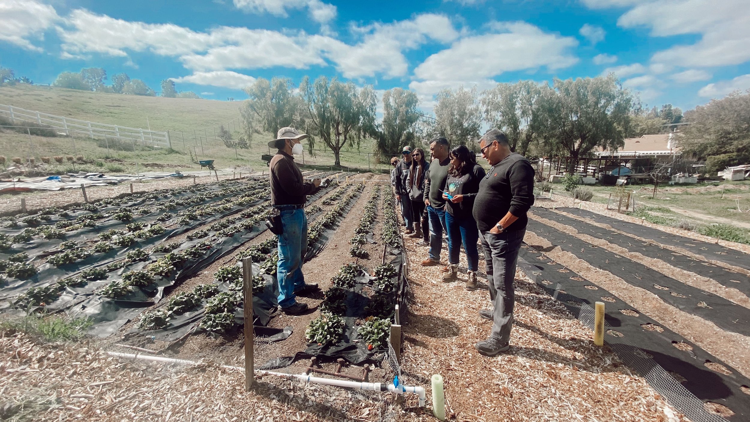 Our Farm — 1stFruitsFarm