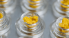 FSO vs. RSO: Is There a Difference? — Santa Cruz Naturals