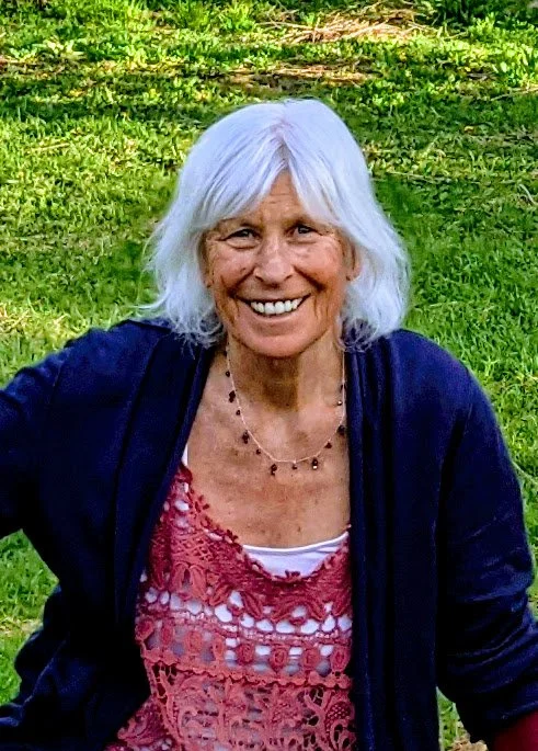 About — Colorado School of Energy Studies