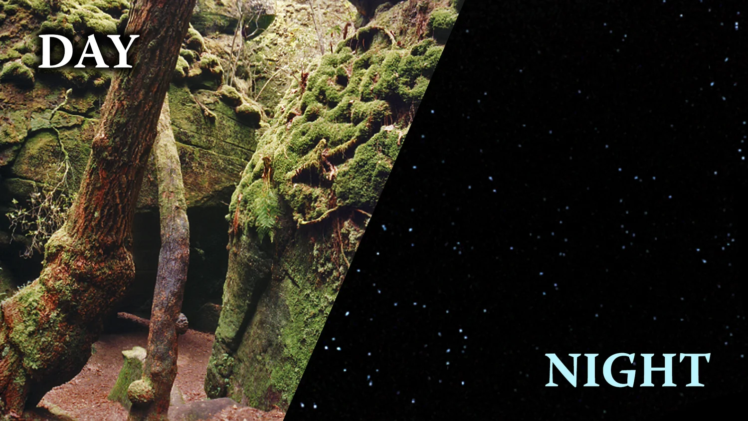 National Natural Landmark - Dismals Canyon