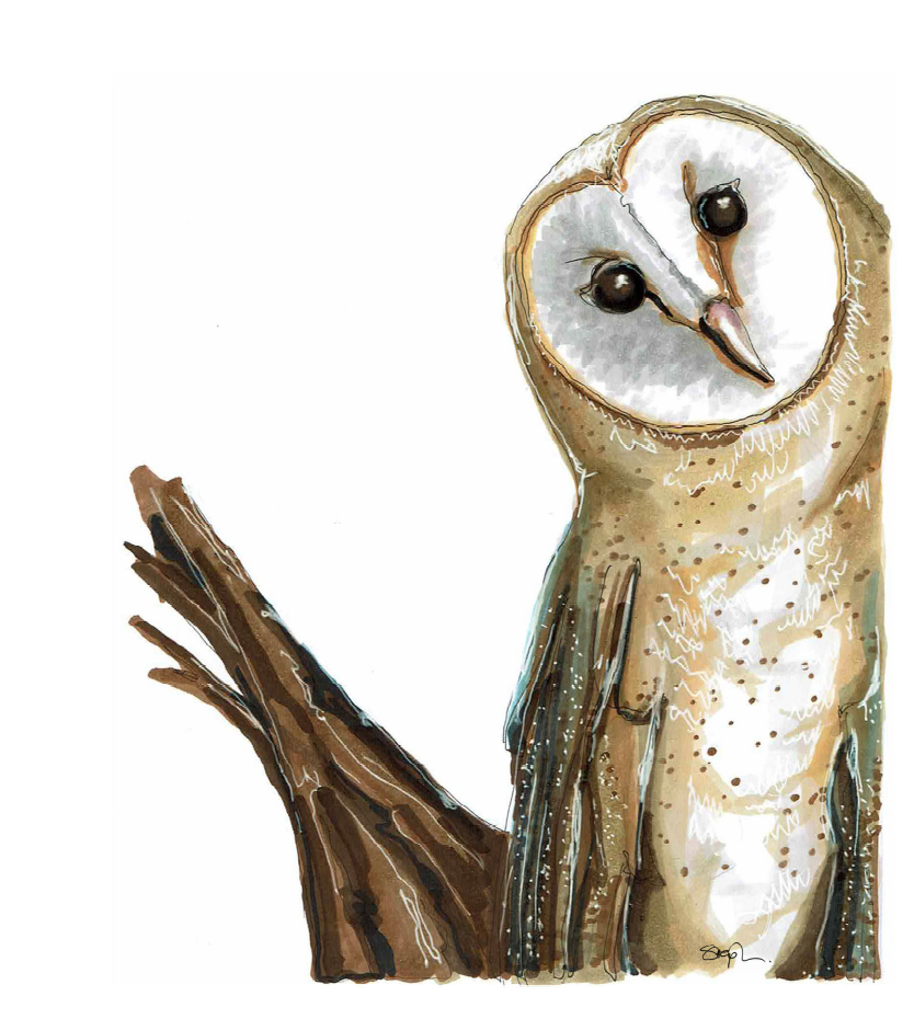 Steph Briggs — Alphington Community Centre