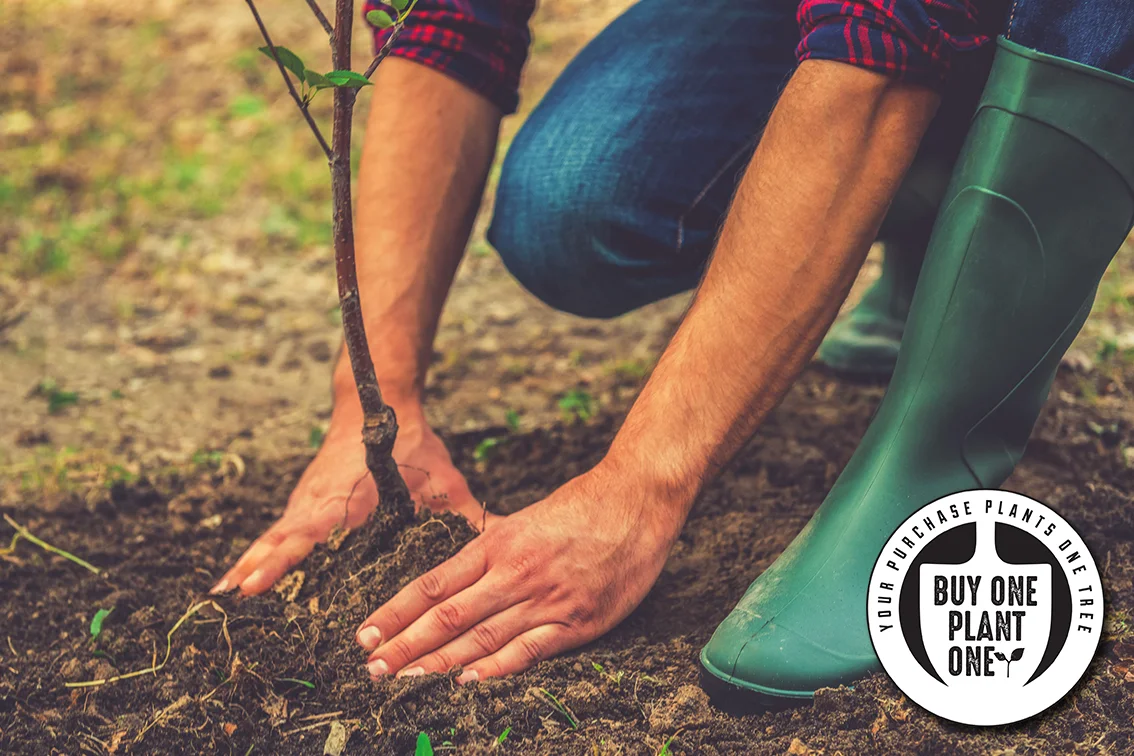 Buy one, Plant one — Grounded & Co.