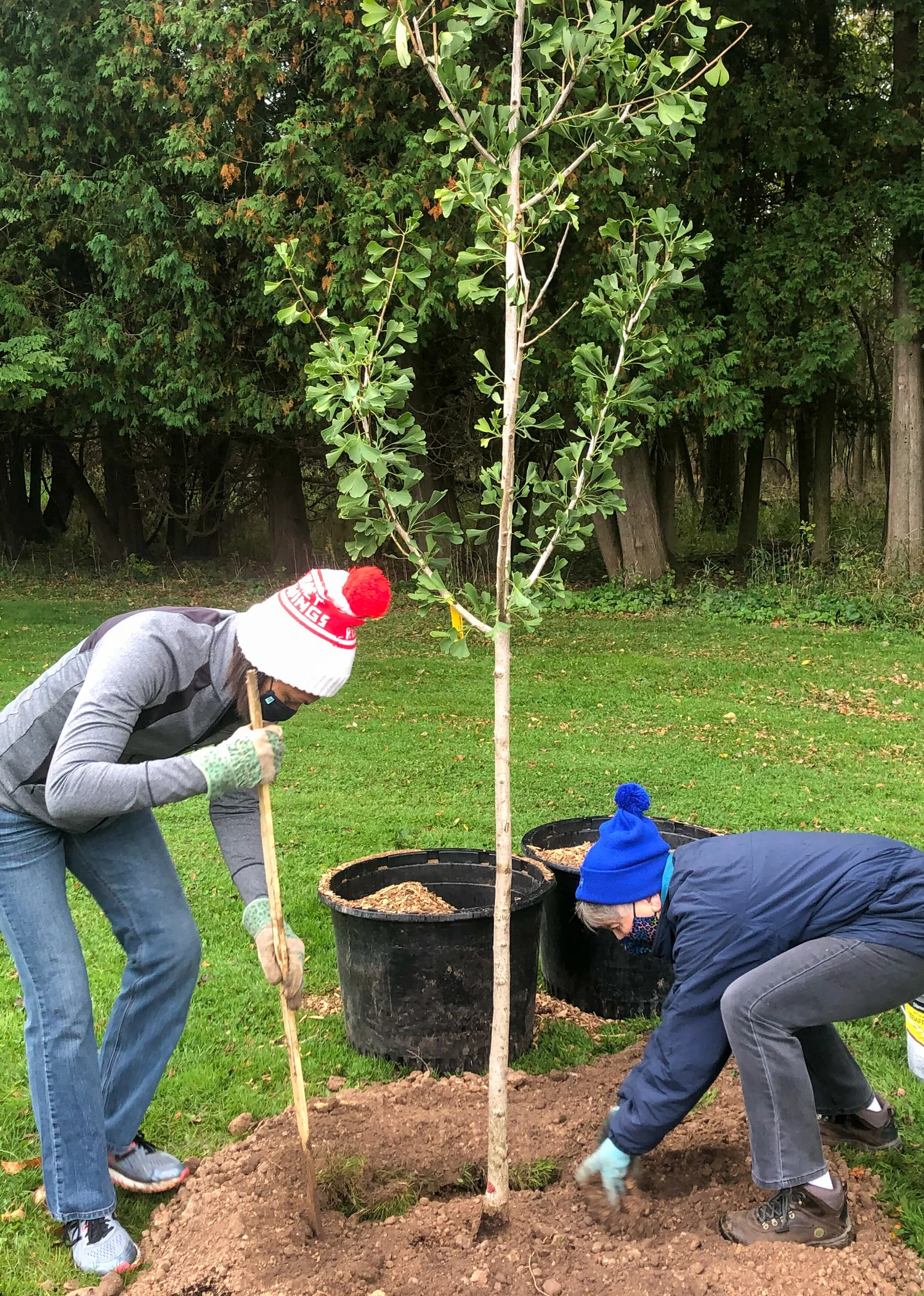 ROOTS Kicks Off Collaborative Tree Planting Projects — LNRP