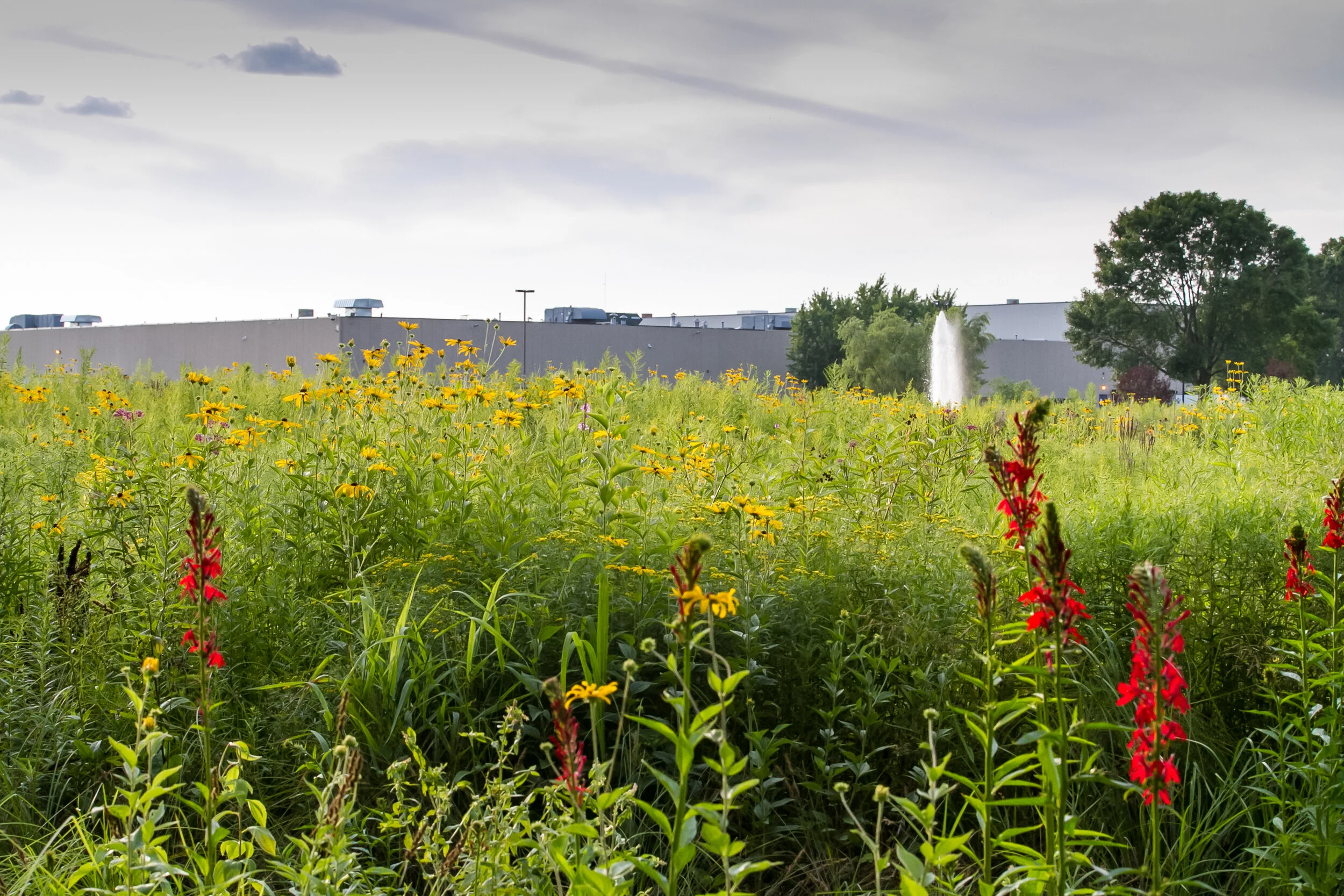 Lake Michigan Conservation Heroes to be Honored during Lake Michigan ...