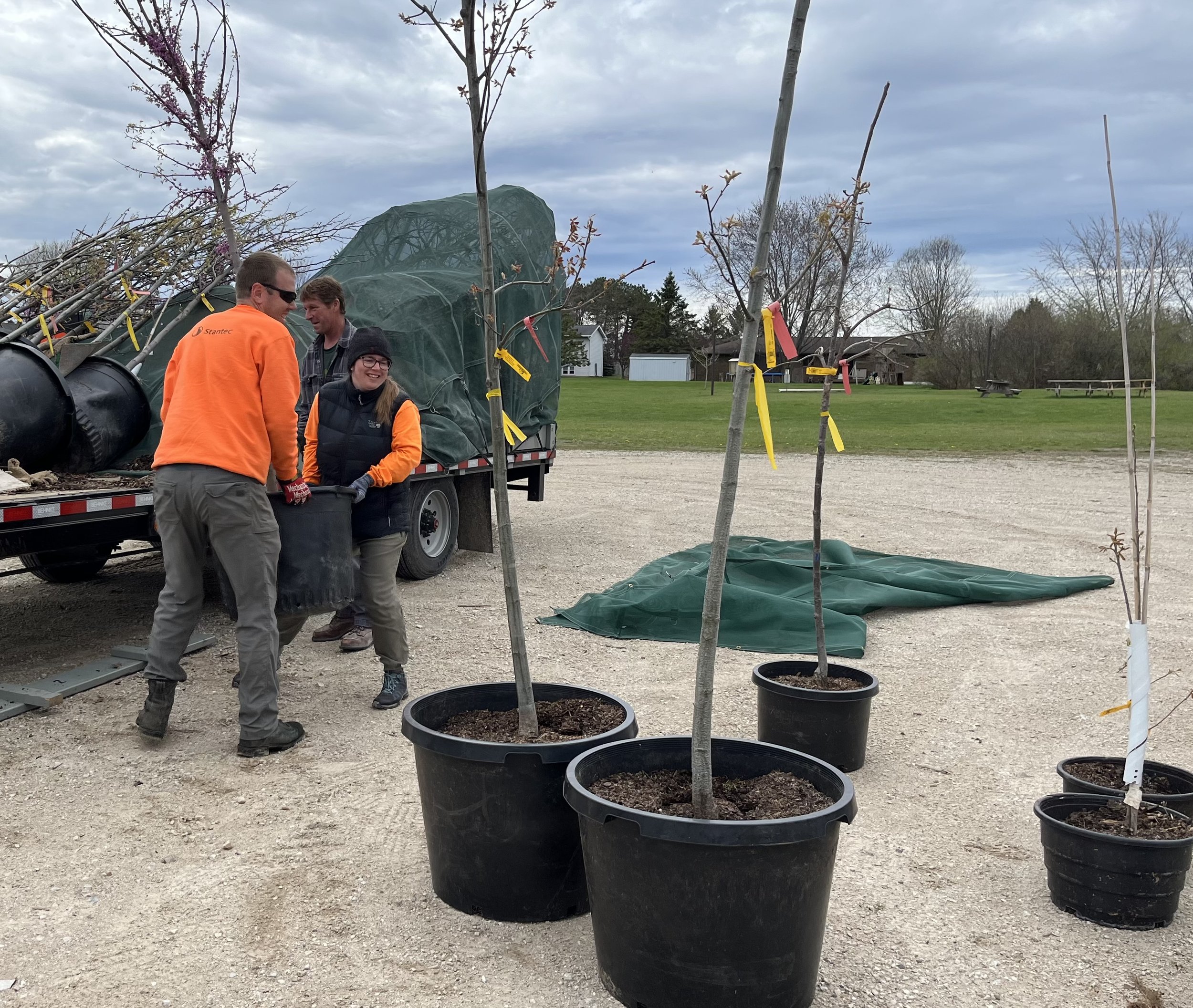 Adapting to Change: Collaborative & Science-Driven Reforestation for ...