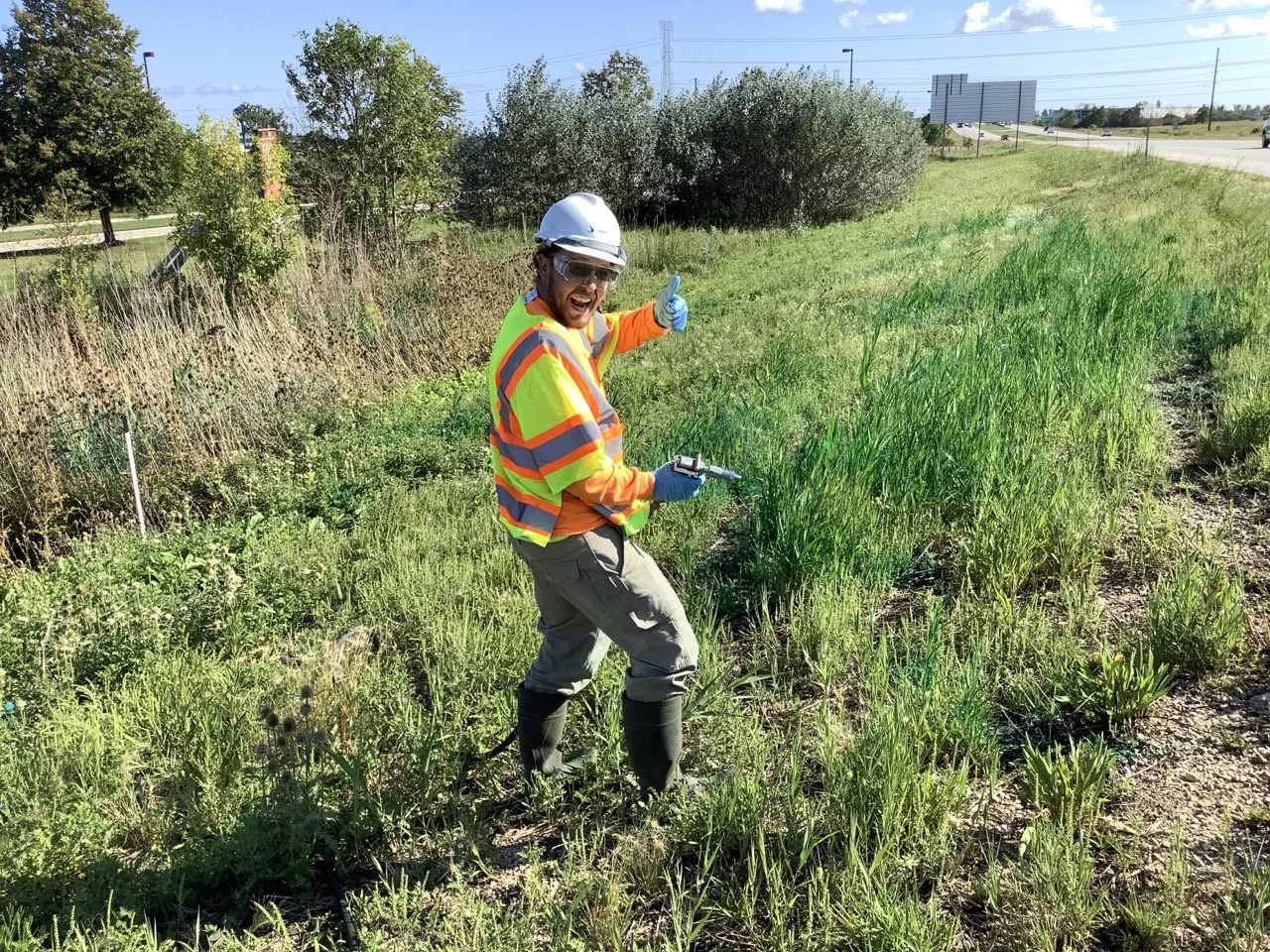 A Regional Approach to Controlling the Spread of Invasive Phragmites ...