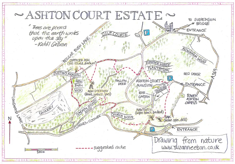 Ashton Court Estate map — Suzanne Elson