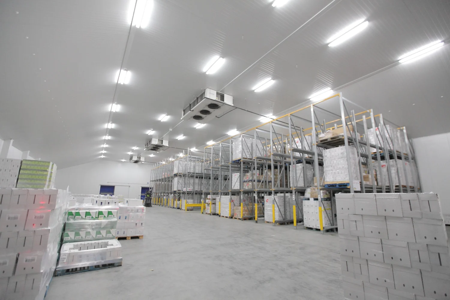 Best Practices in the Construction of Cold Storage Facilities — Storage ...