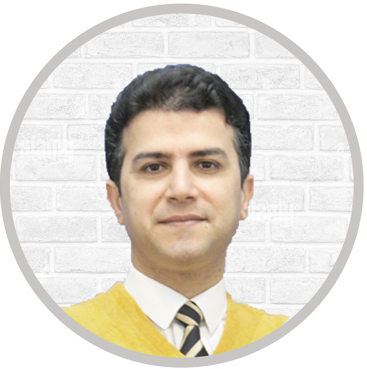 About the Canadian Contemporary School of Art in Toronto, Canada