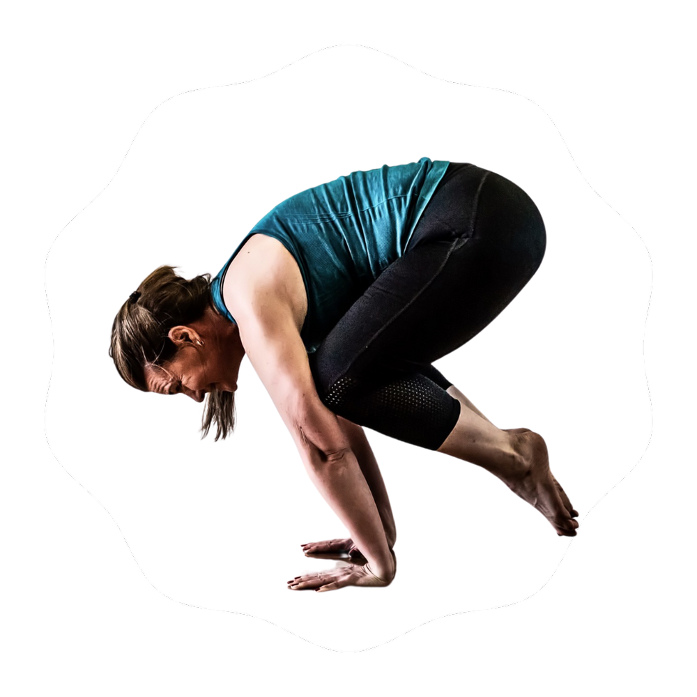 Programs & Pricing — BODYWEIGHT BRIGADE