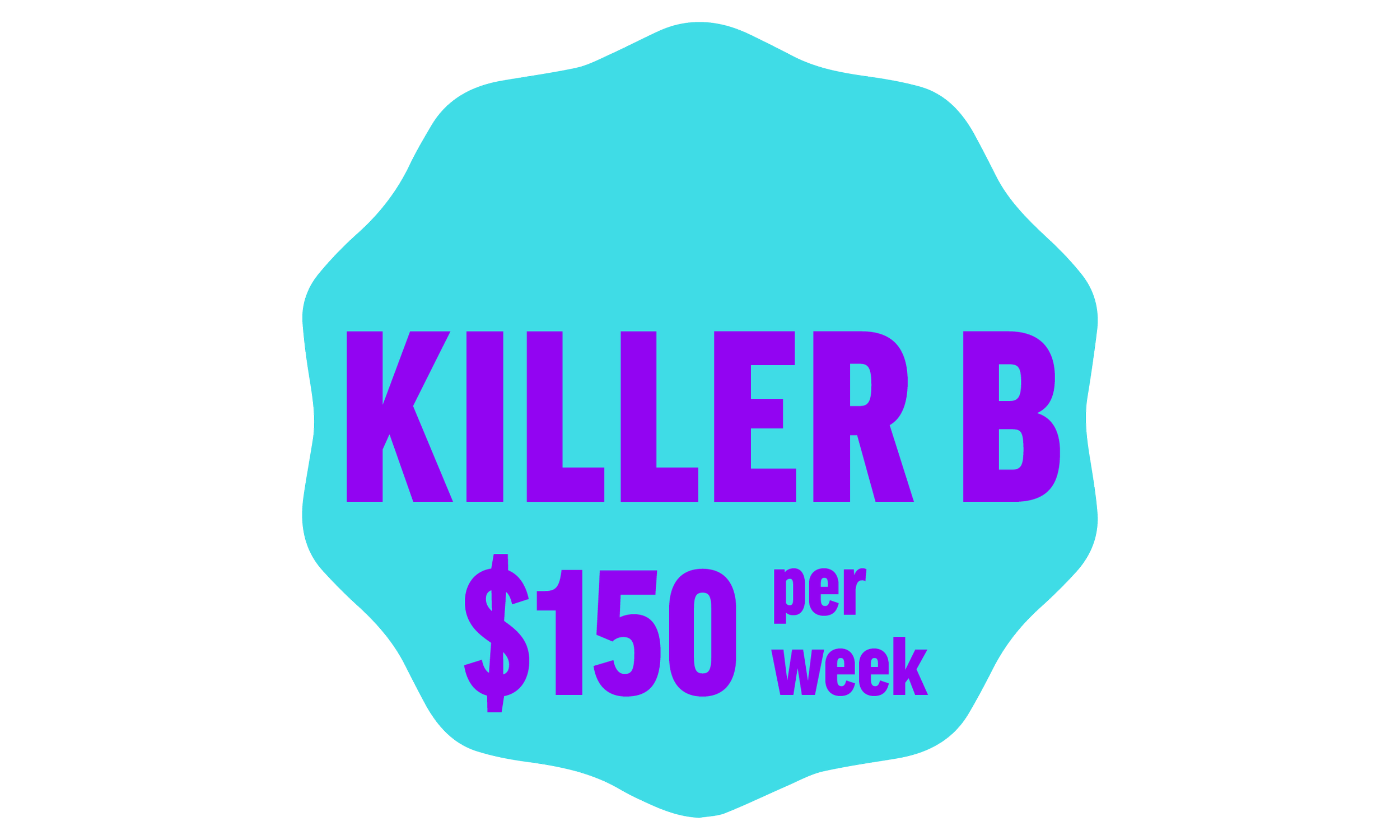 Programs & Pricing — Power & Posture