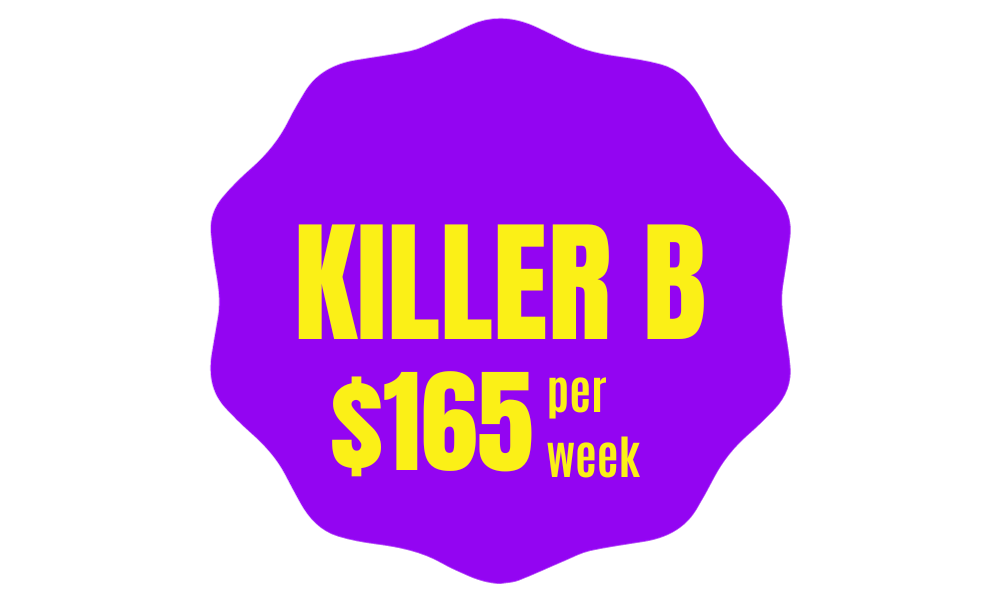 Programs & Pricing — BODYWEIGHT BRIGADE