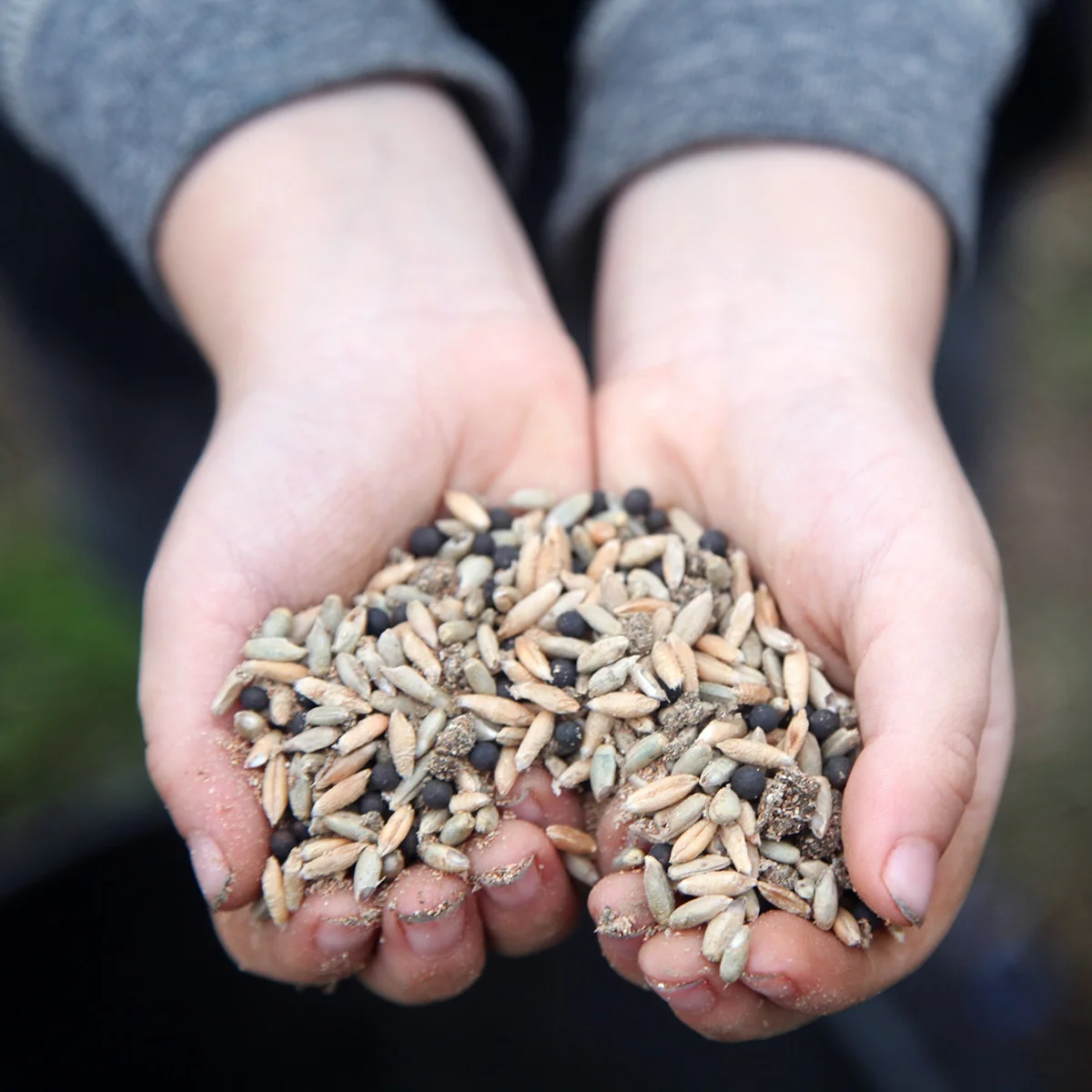 Common Ground Store — Common Ground Farm