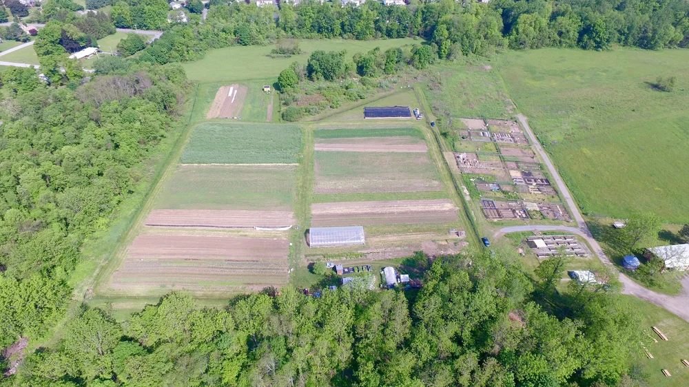 About the Farm — Common Ground Farm