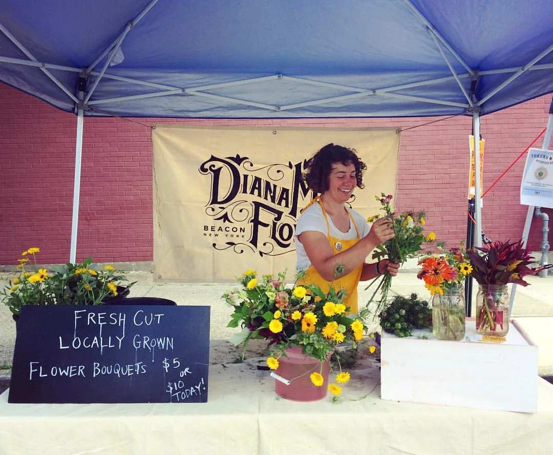 Beacon Farmers' Market — Common Ground Farm