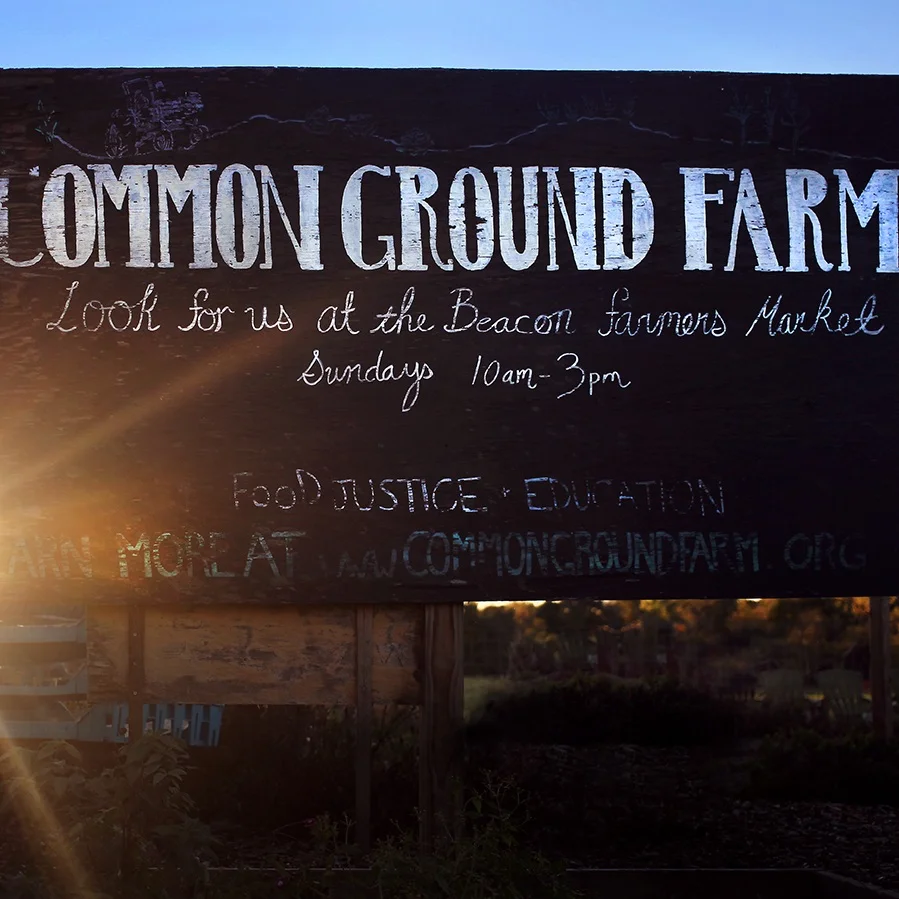 Get Involved — Common Ground Farm