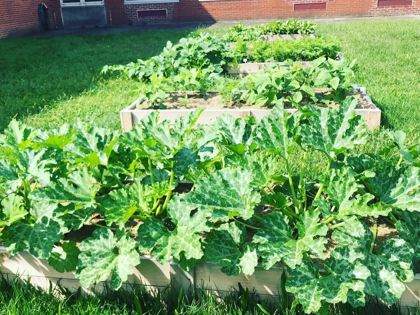 Overview — Common Ground Farm