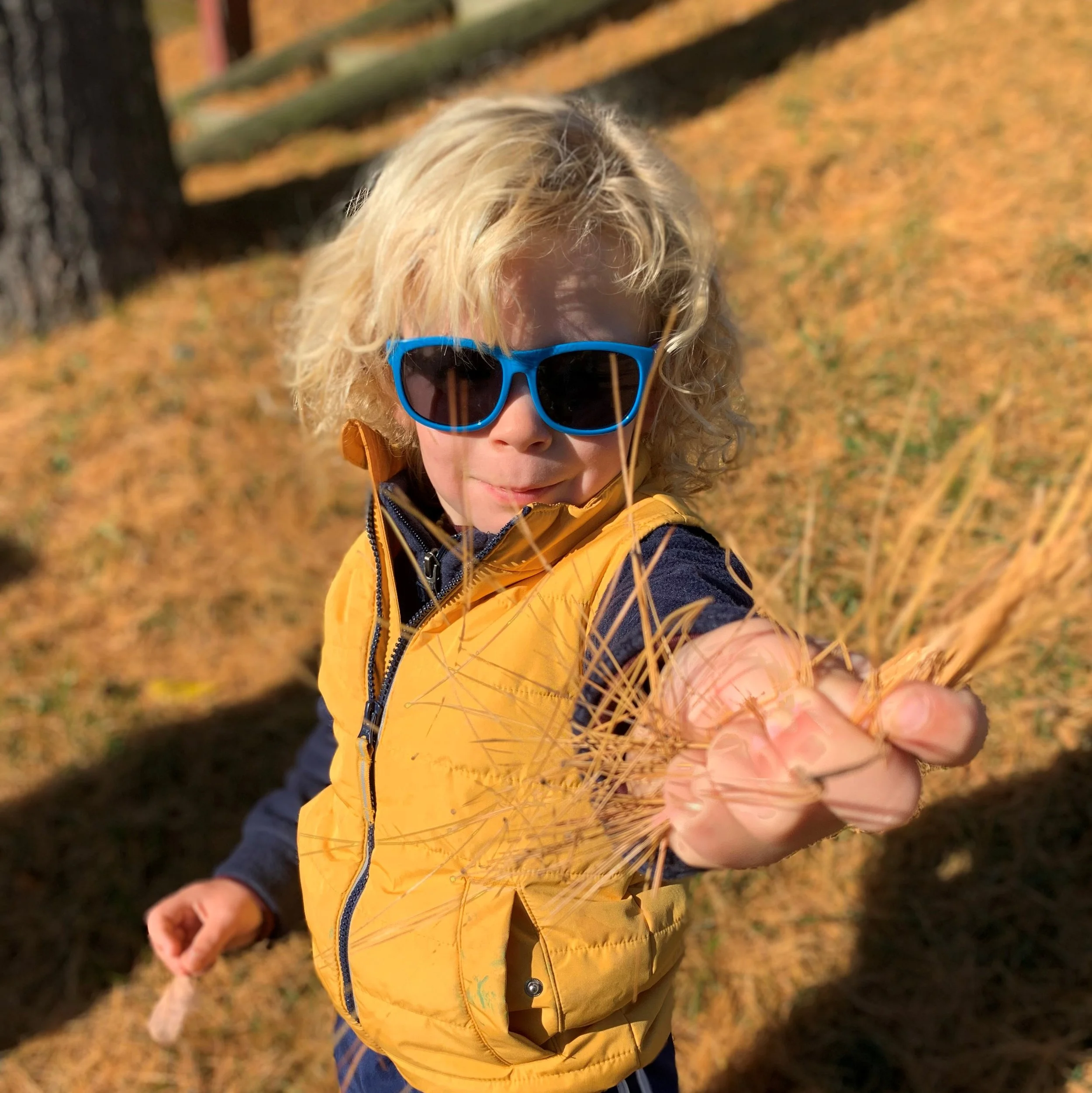 Preschool on the Farm — Common Ground Farm
