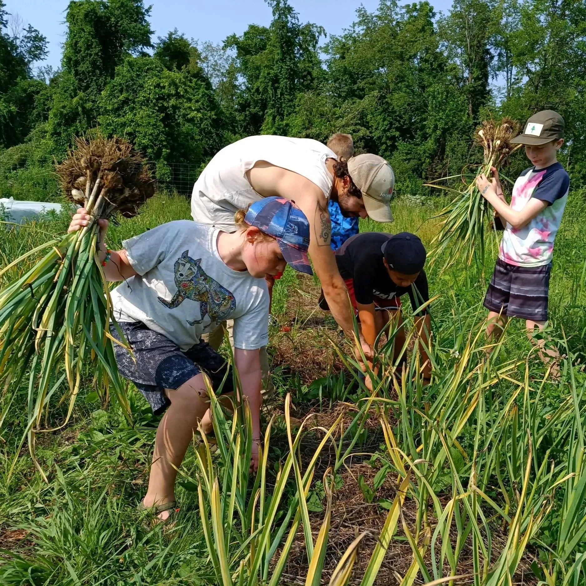 Common Ground Store — Common Ground Farm