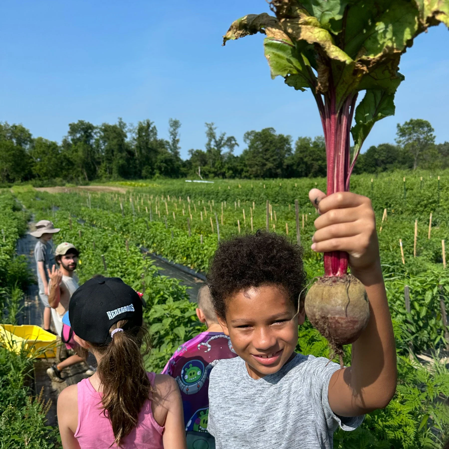 Programming for Schools — Common Ground Farm