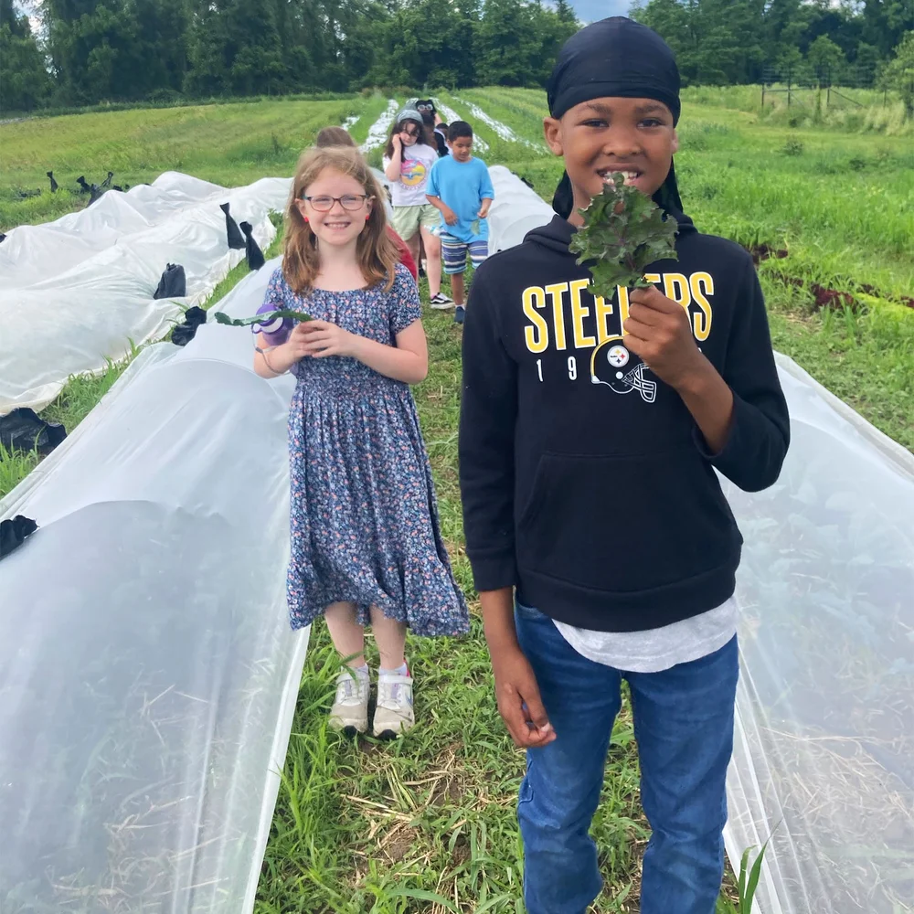 Programming for Schools — Common Ground Farm