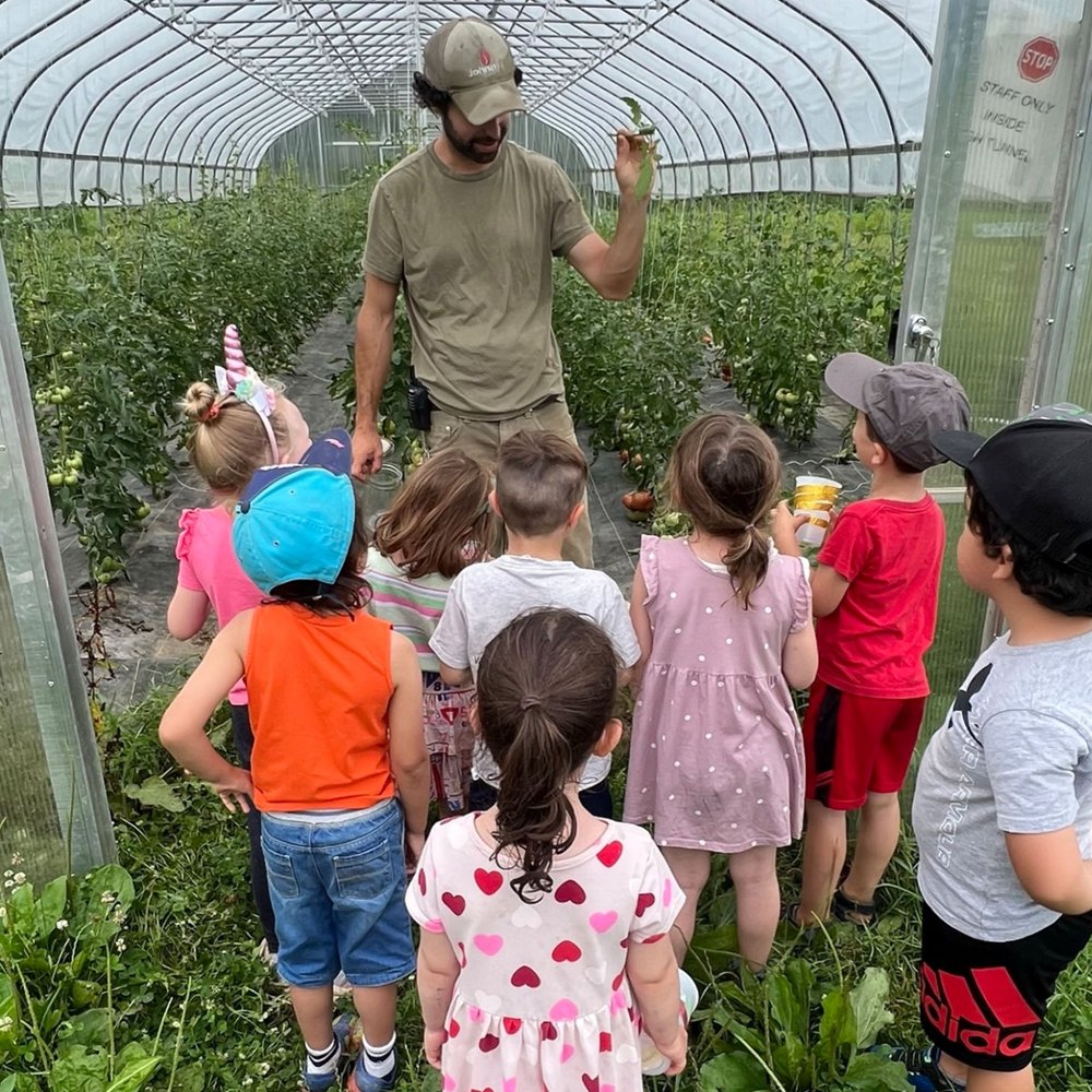 Programming for Schools — Common Ground Farm