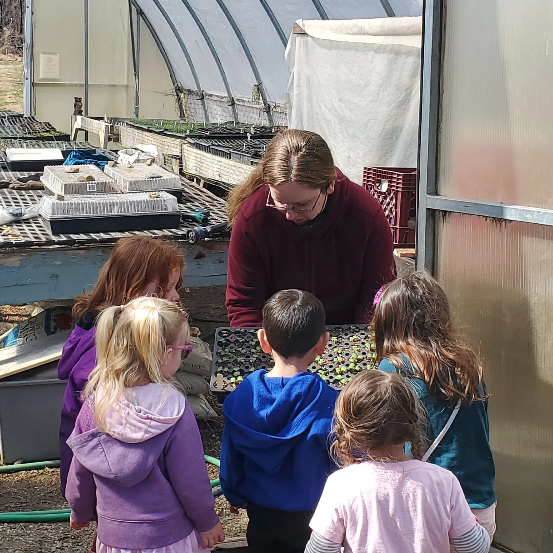 About Us — Common Ground Farm