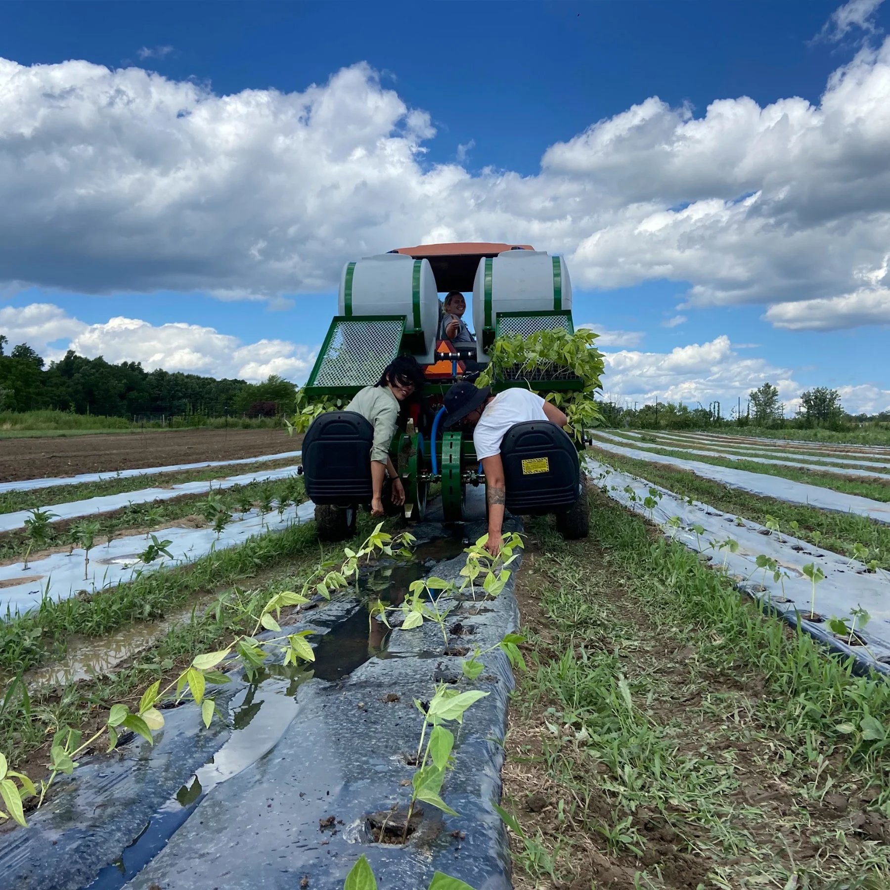 Common Ground Farm